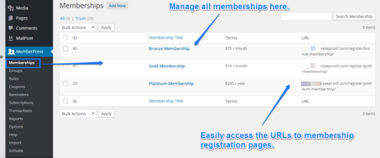 How to Create a Membership Site in 48 Hours (It's Easier than you Think)